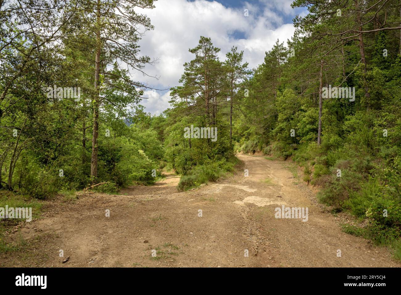 Pistas de pista hi-res stock photography and images - Alamy