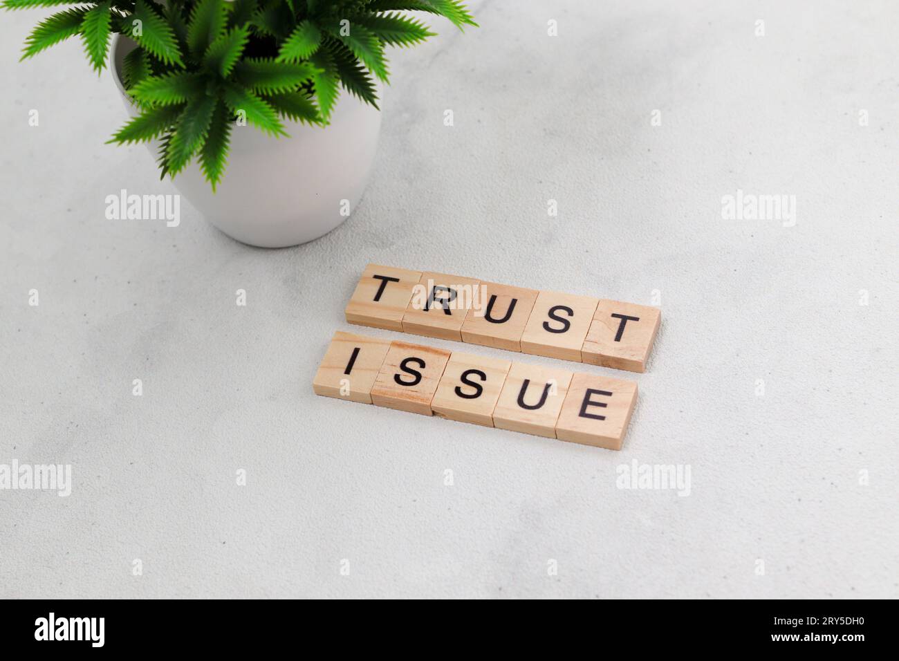 Top view of Trust Issue word on wooden cube letter block on white ...