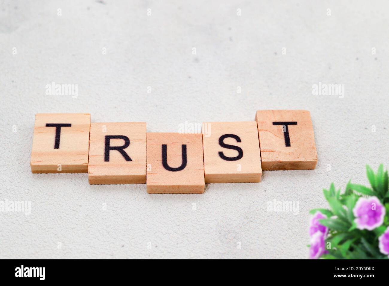 Top view of Trust word on wooden cube letter block on white background ...