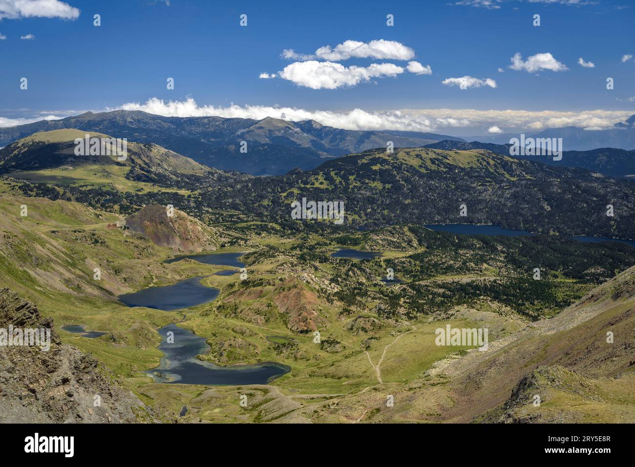 Paisaje del lago de verano hi-res stock photography and images - Alamy