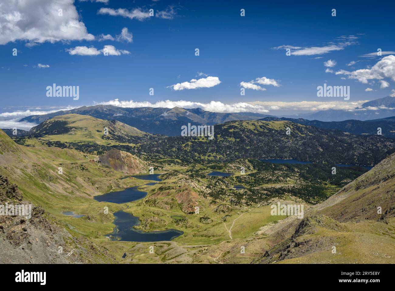 Paisaje del lago de verano hi-res stock photography and images - Alamy