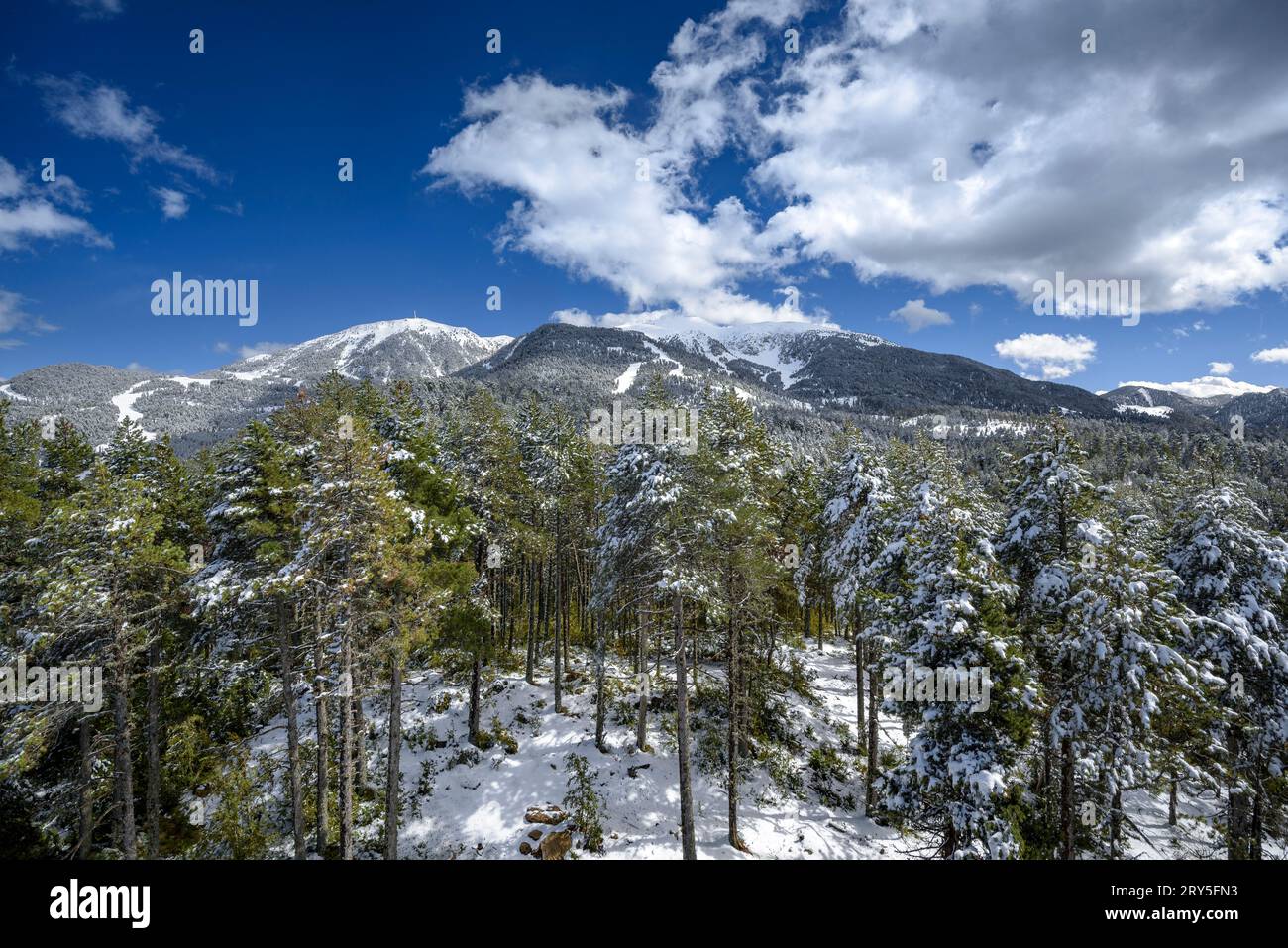 Snow-capped Tosa d'Alp mountain in spring seen from the Escobairó ...