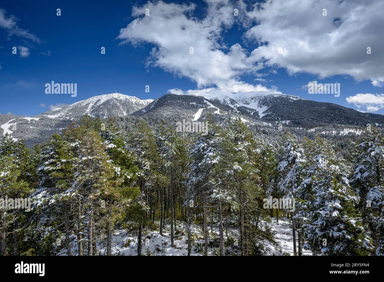 Snow-capped Tosa d'Alp mountain in spring seen from the Escobairó ...