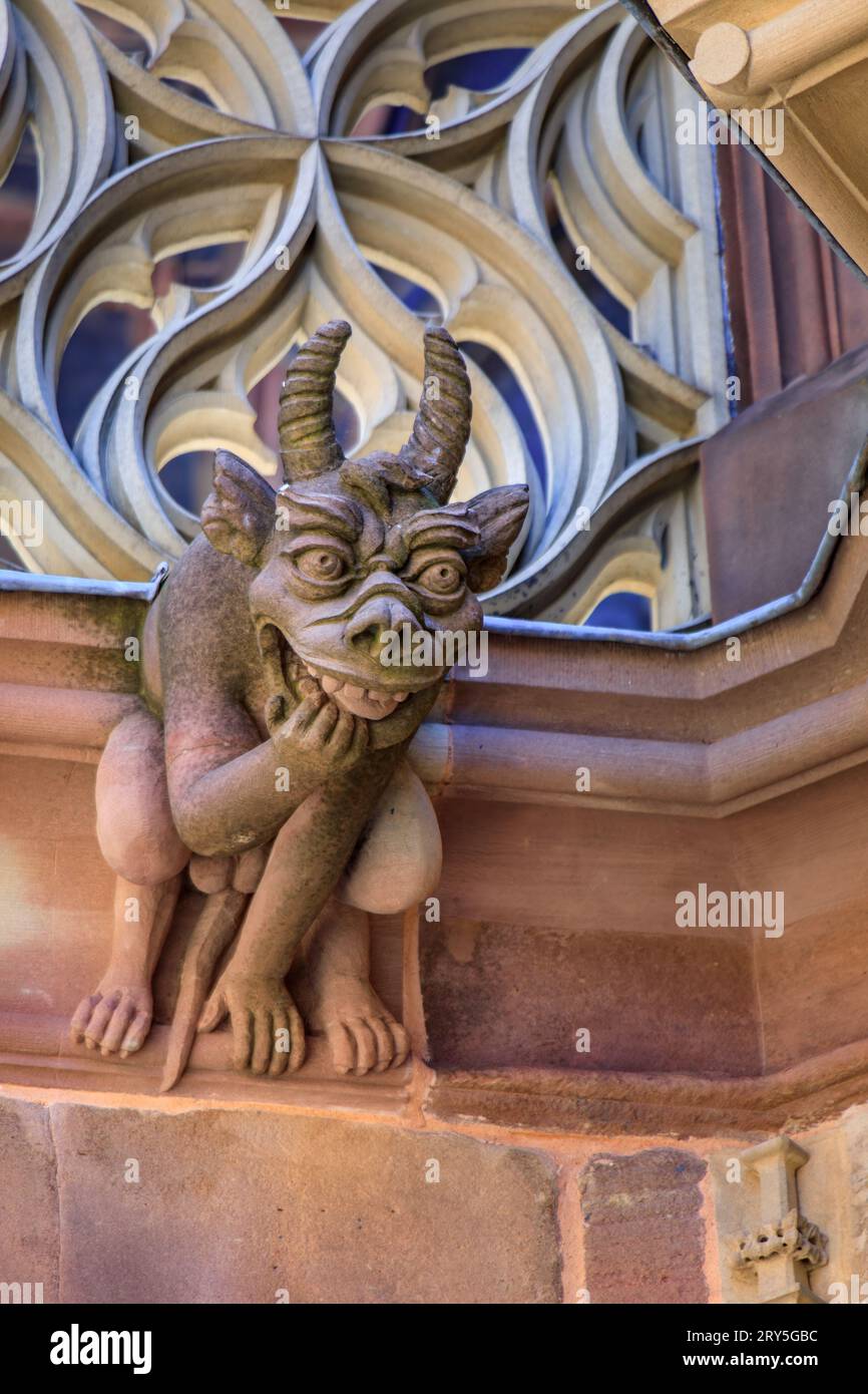 Gargoyle on the ornate Gothic facade of the Notre Dame Cathedral in ...
