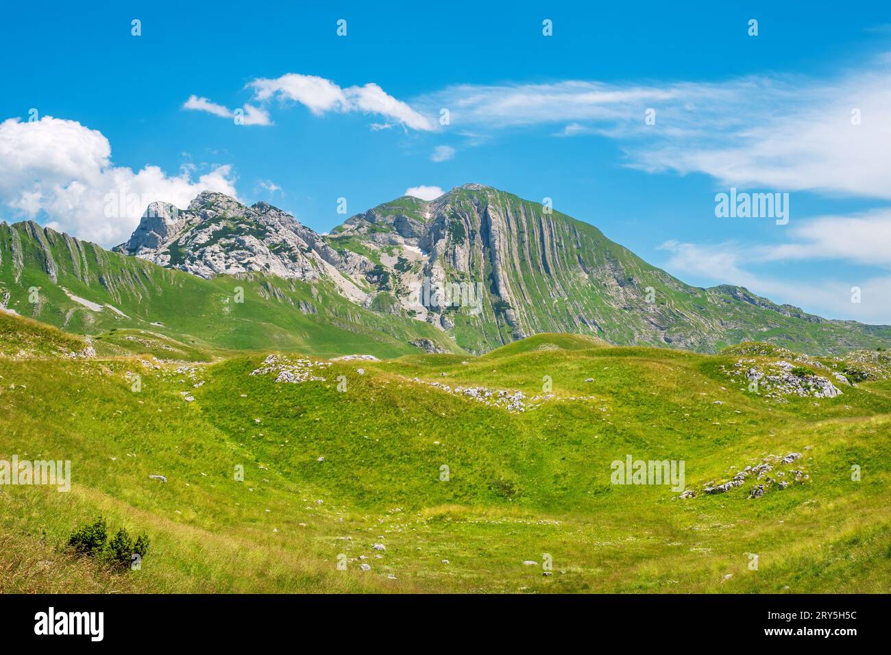 Natural landscape with Gruta and Prutas mountains in Durmitor National ...
