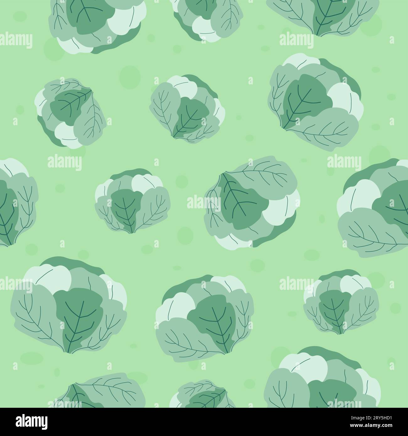 Natural and organic cabbage, seamless pattern Stock Vector Image & Art ...