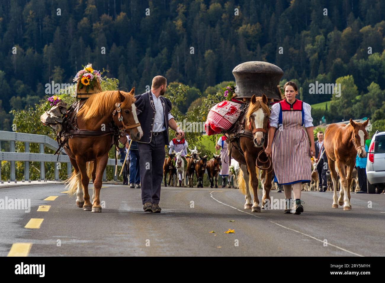 Horses also spend the summer on the alp. Here a horse carries a large ...