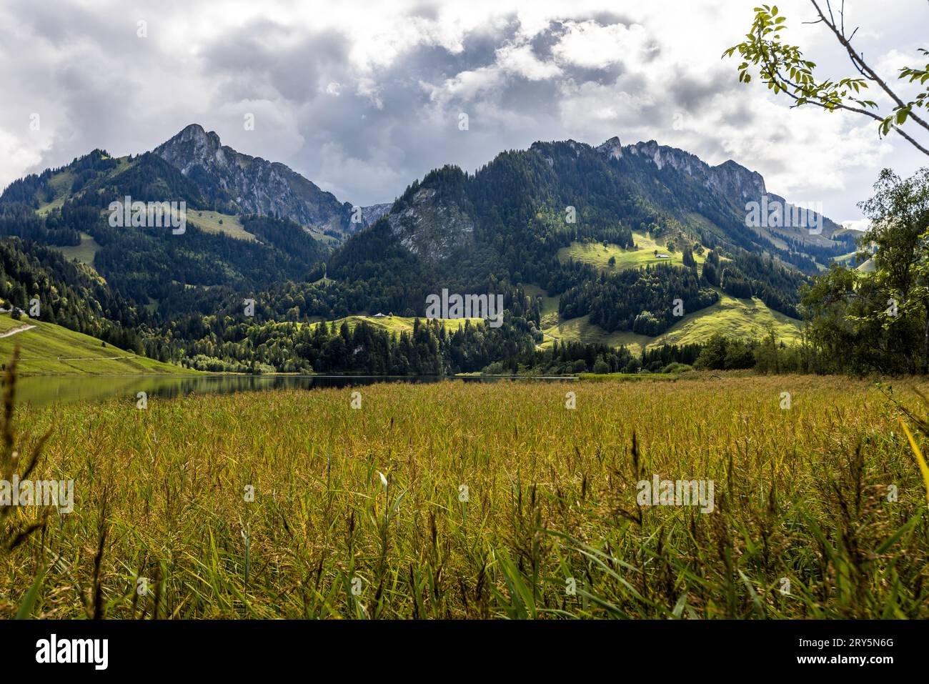 Switzerland lager hi-res stock photography and images - Alamy