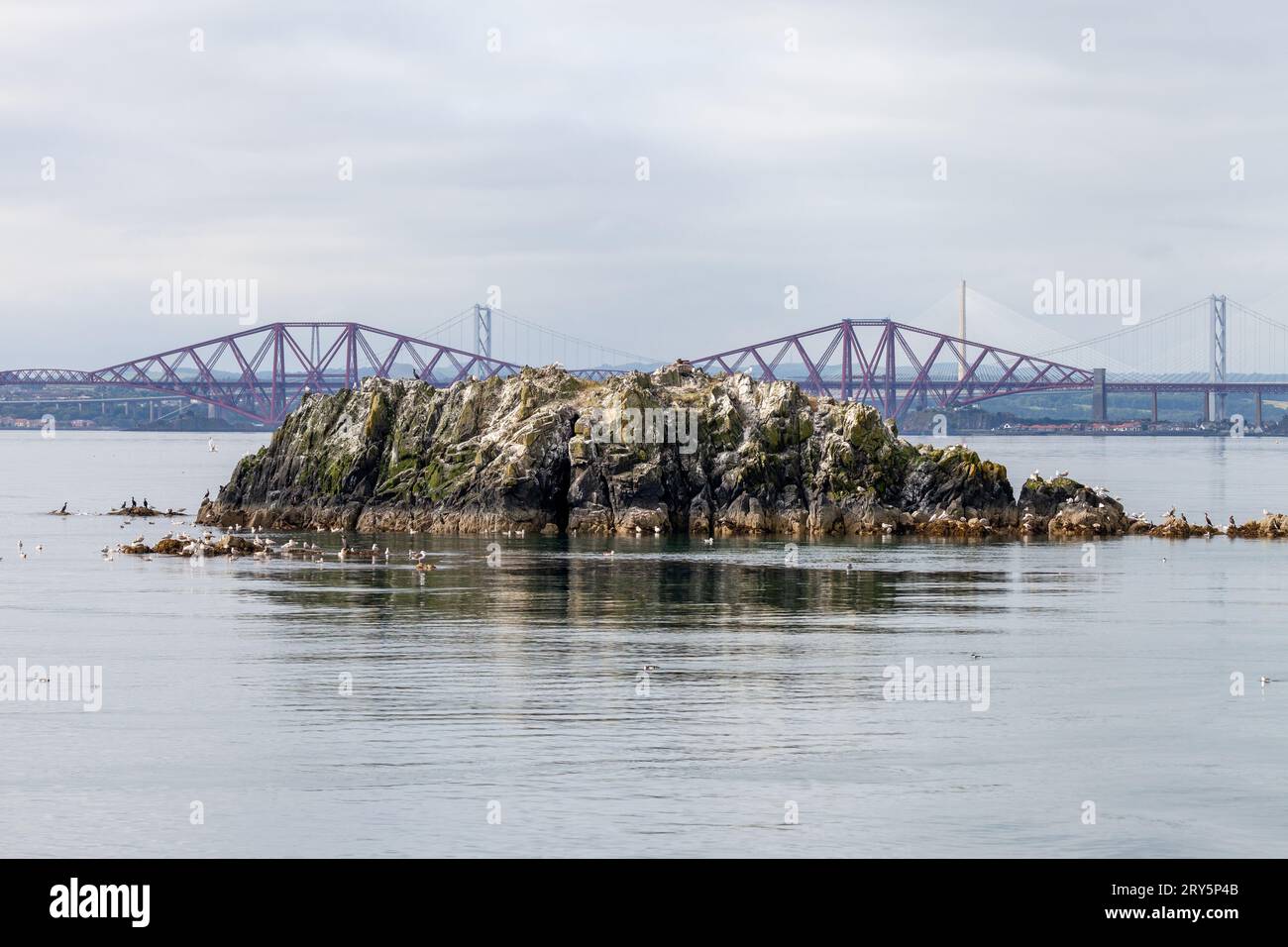Haystack Rock in the Firth of Forth with the Forth bridges in the ...