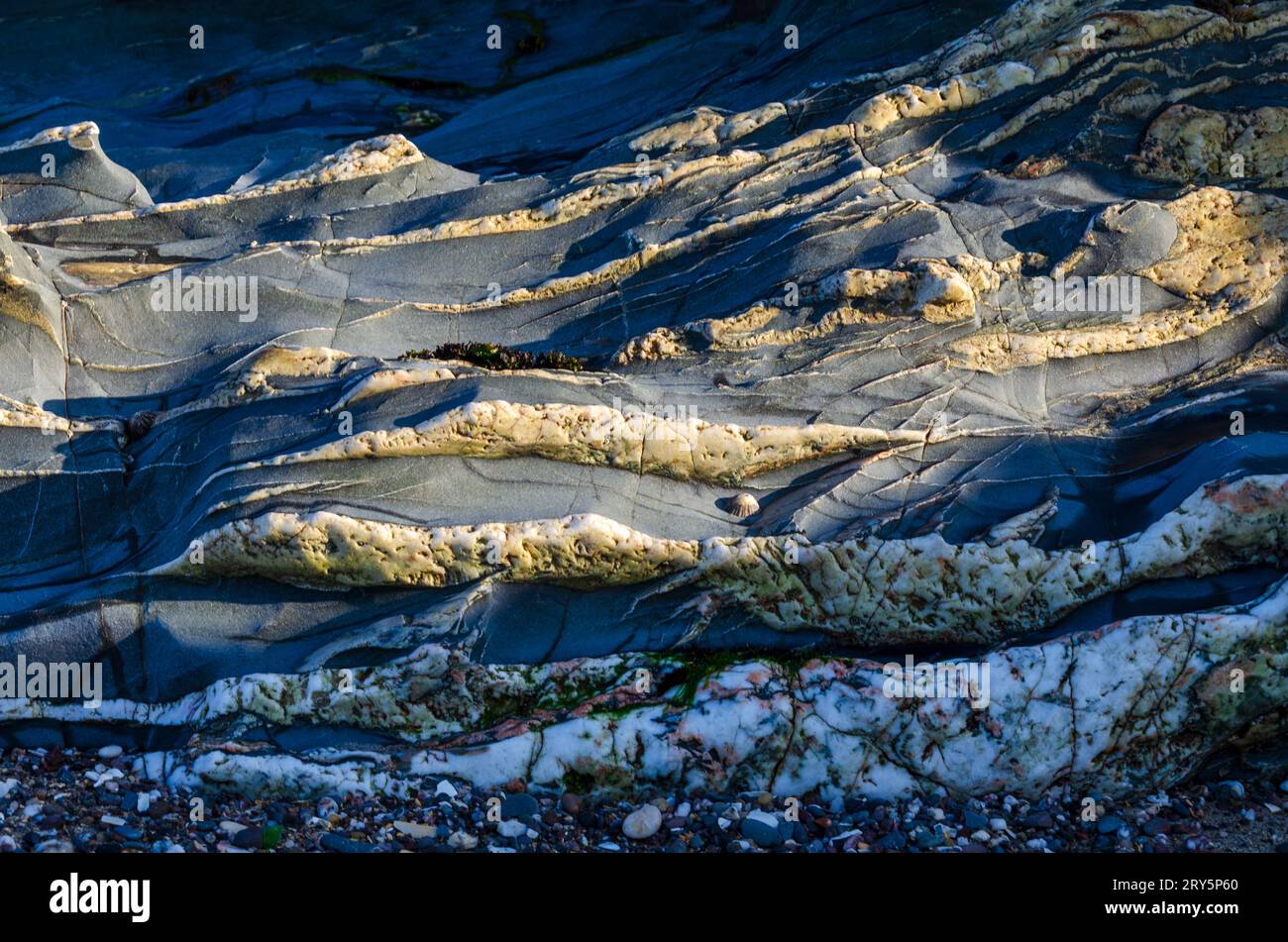 Striation texture hi-res stock photography and images - Alamy