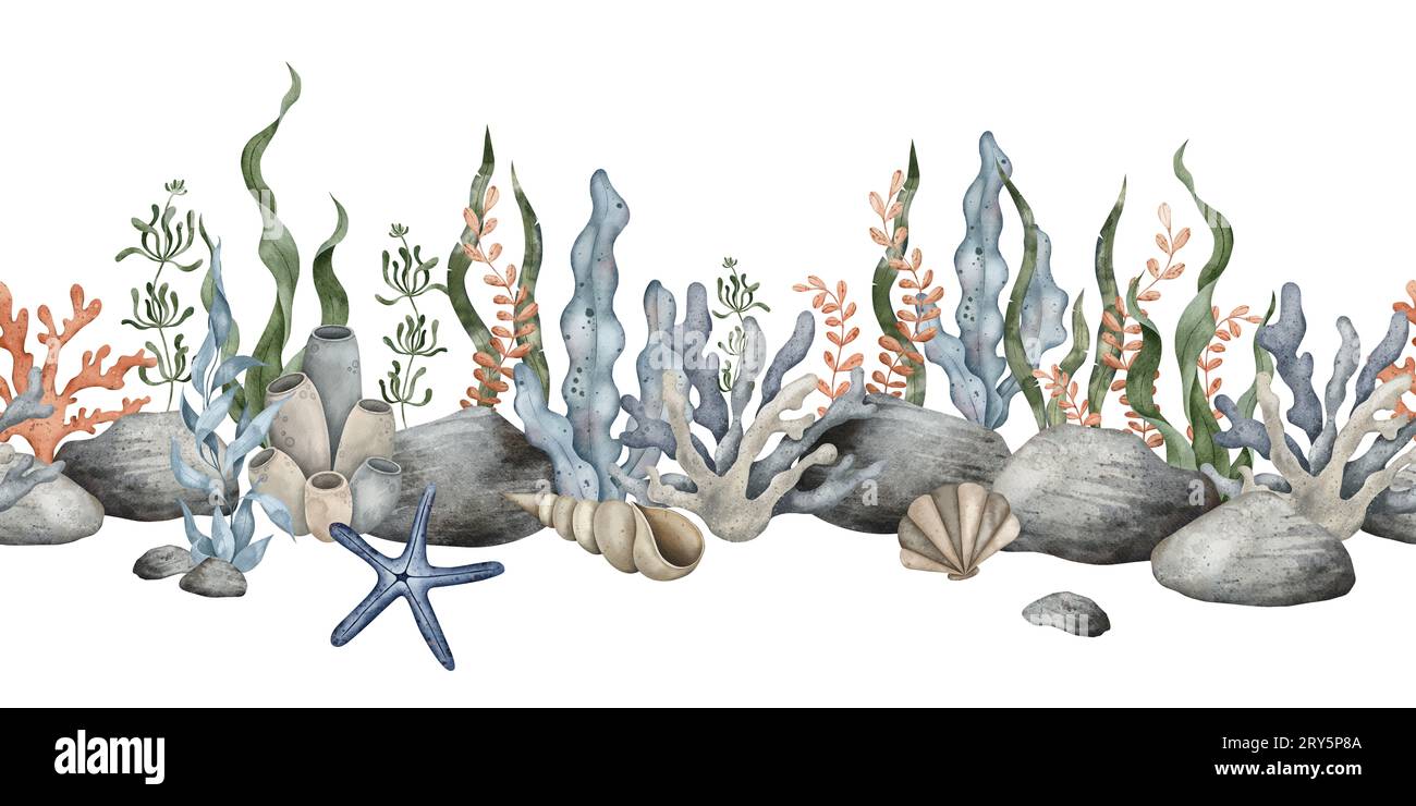 Seamless border of sea Pebbles, marine coral, starfish, seaweed algae ...