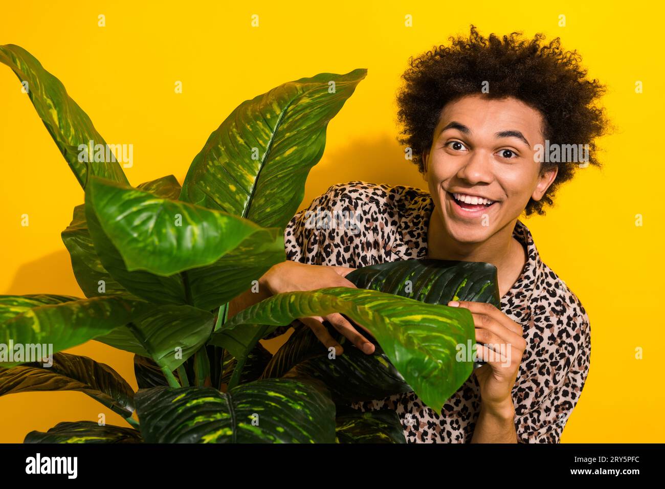 Man leopard skin tropics hi-res stock photography and images - Alamy