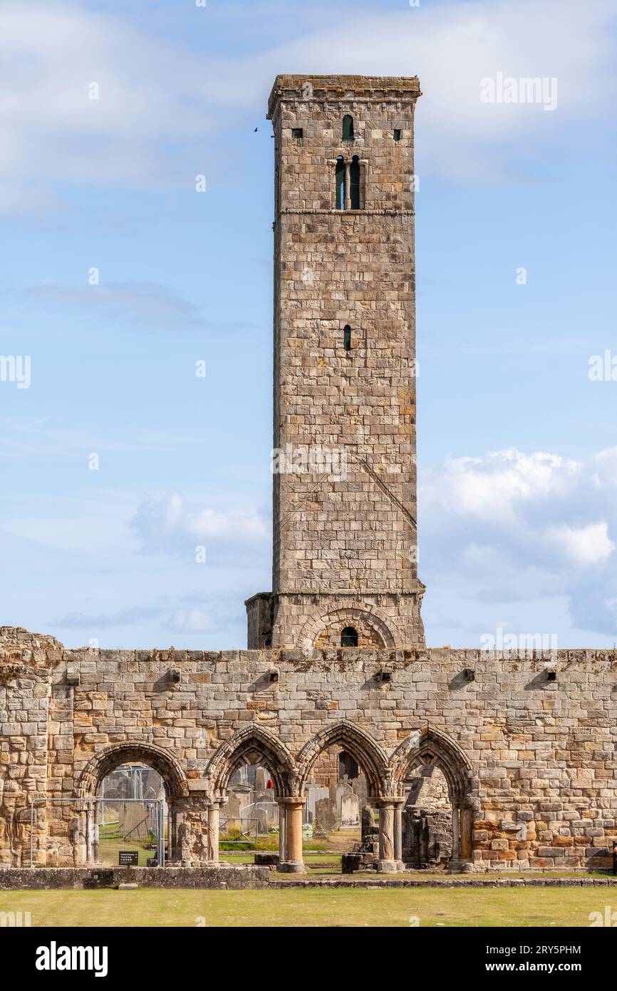 St Rule's Tower is located in the grounds of St Andrews Cathedral it is ...