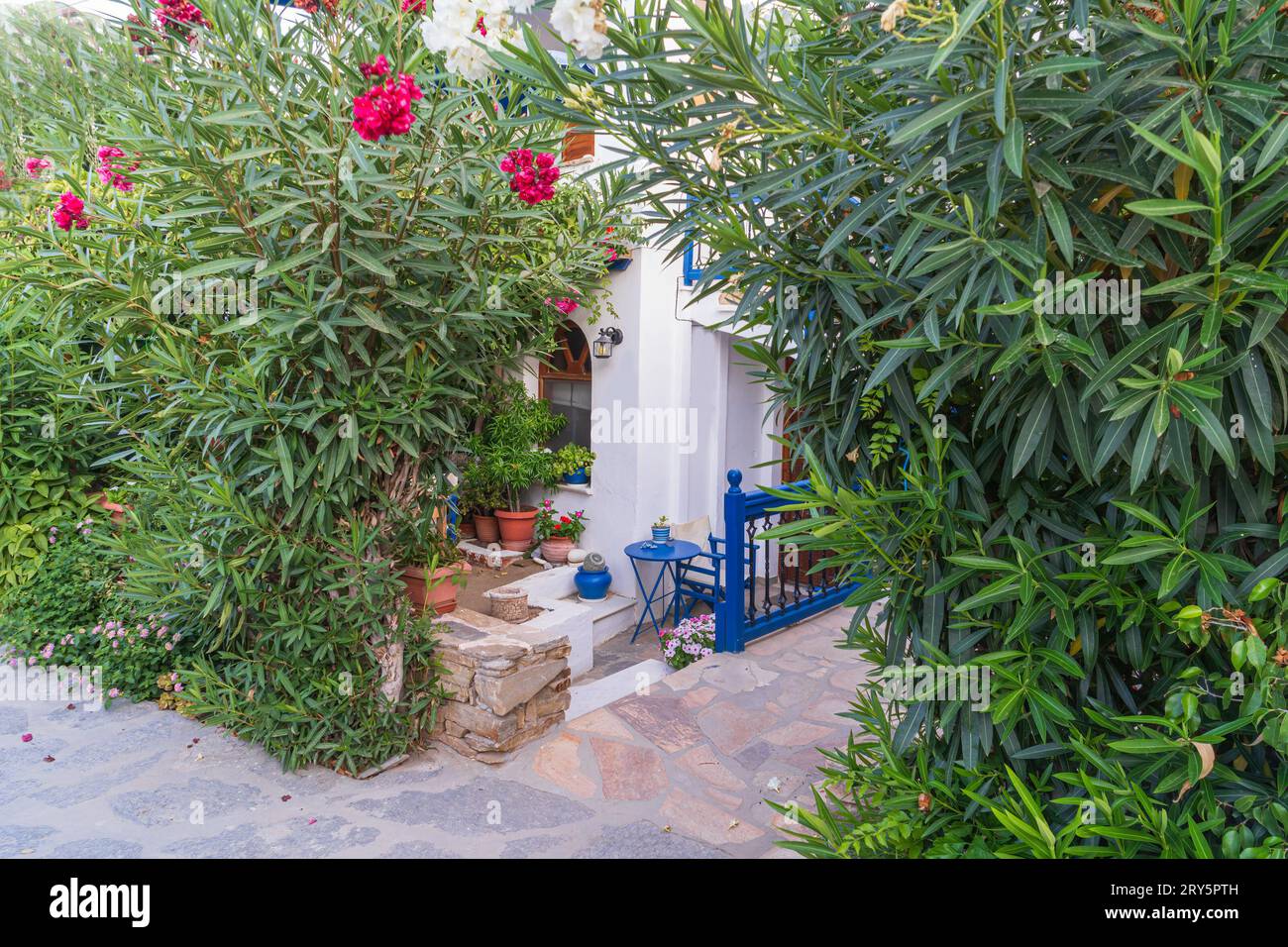 Typical street scene on the Naxos one of the Cyclades islands in Greece ...