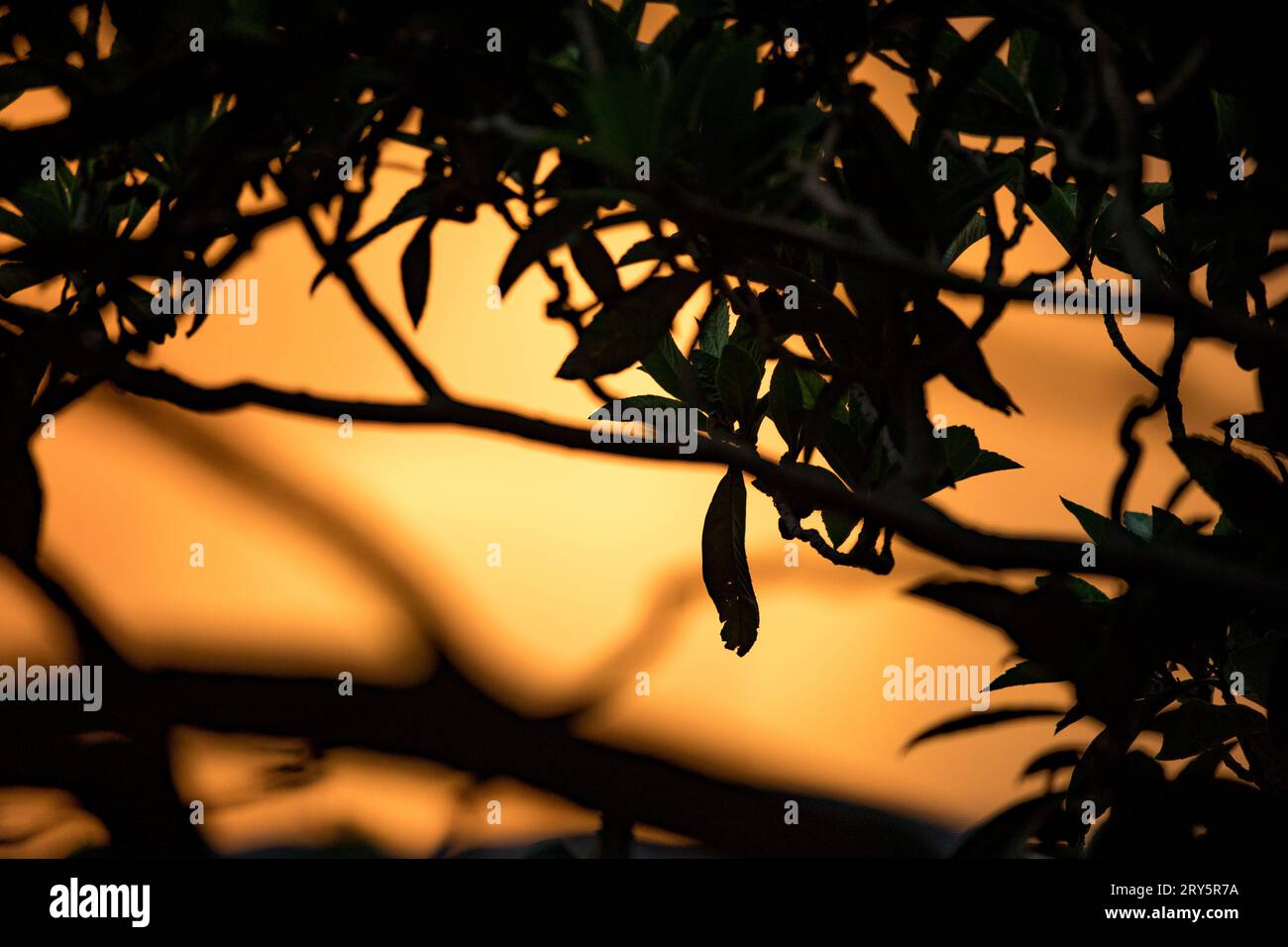 Bola de sol hi-res stock photography and images - Alamy