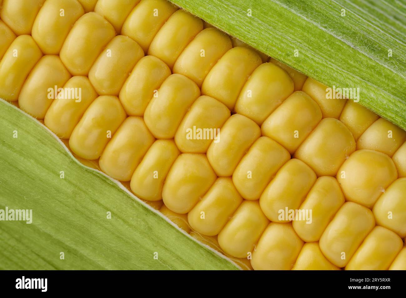 Wallpaper sweetcorn hi-res stock photography and images - Alamy