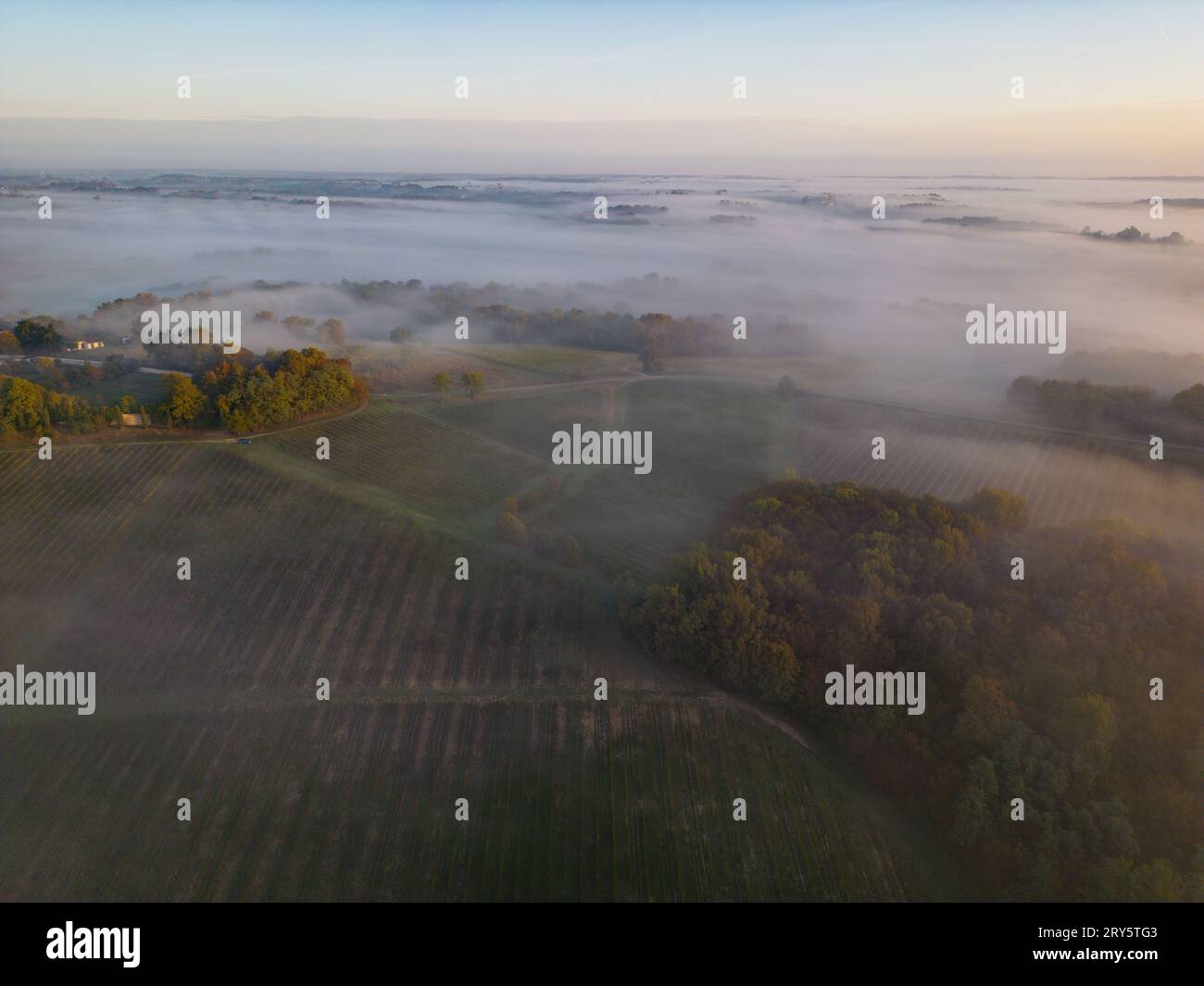 Aerial view of vineyard under fog, Rions, Gironde, France Stock Photo ...