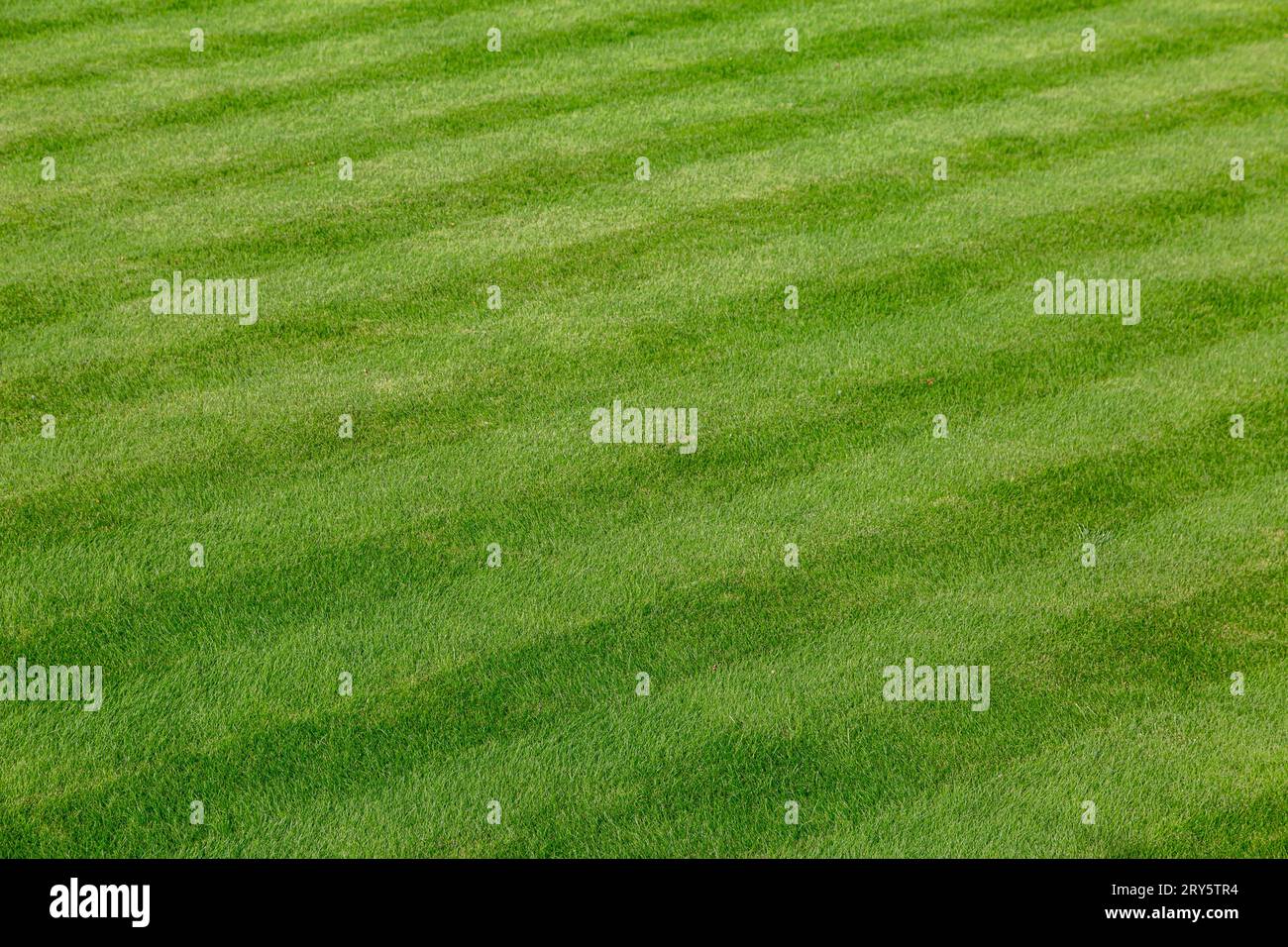 Lawn mowed stripes hi-res stock photography and images - Alamy