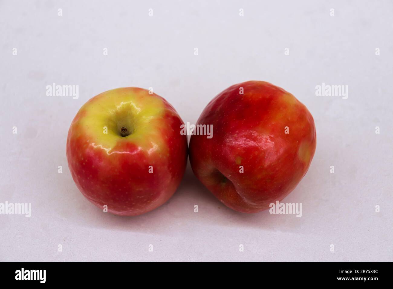 Cripps Pink, red apple closeup sitting on a white countertop. Rosh ...
