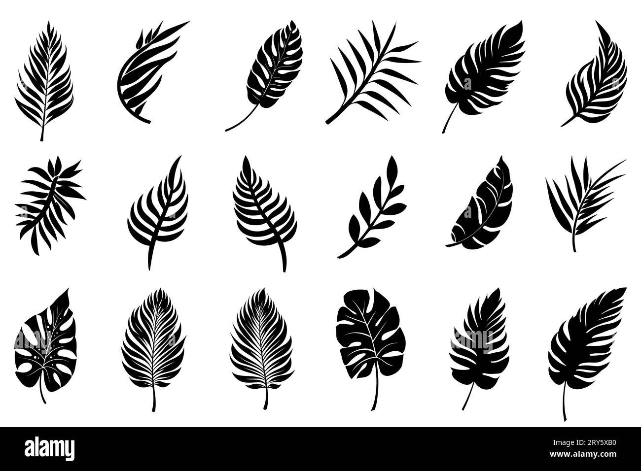 Leaf icons set. Black tropical leaf icons isolated. Vector illustration ...