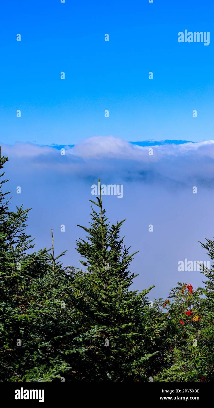 Mitchell ranges hi-res stock photography and images - Alamy