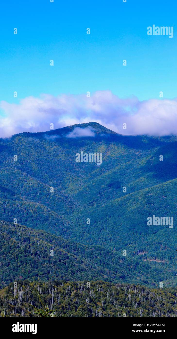 Mitchell ranges hi-res stock photography and images - Alamy