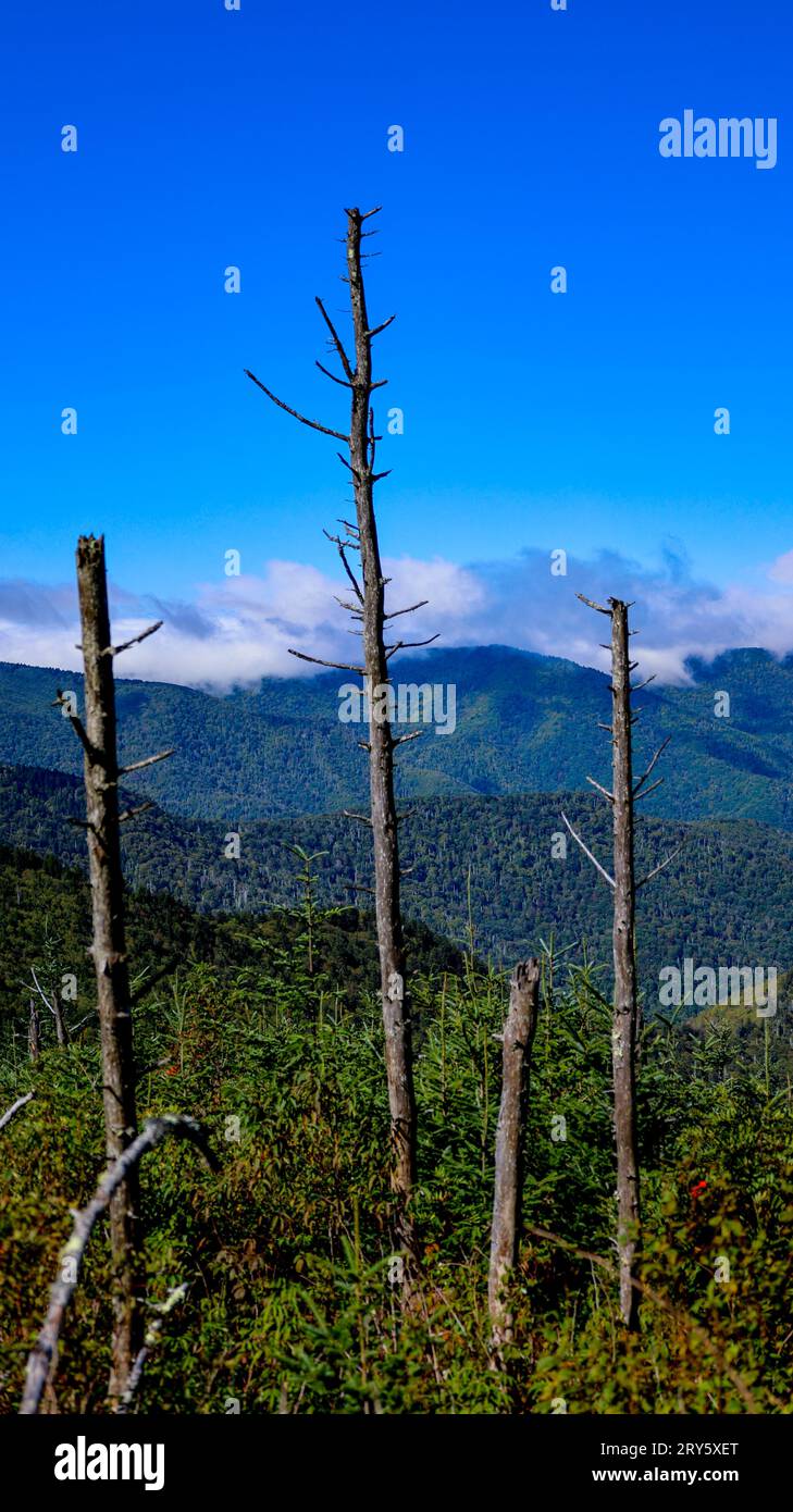 Mitchell ranges hi-res stock photography and images - Alamy