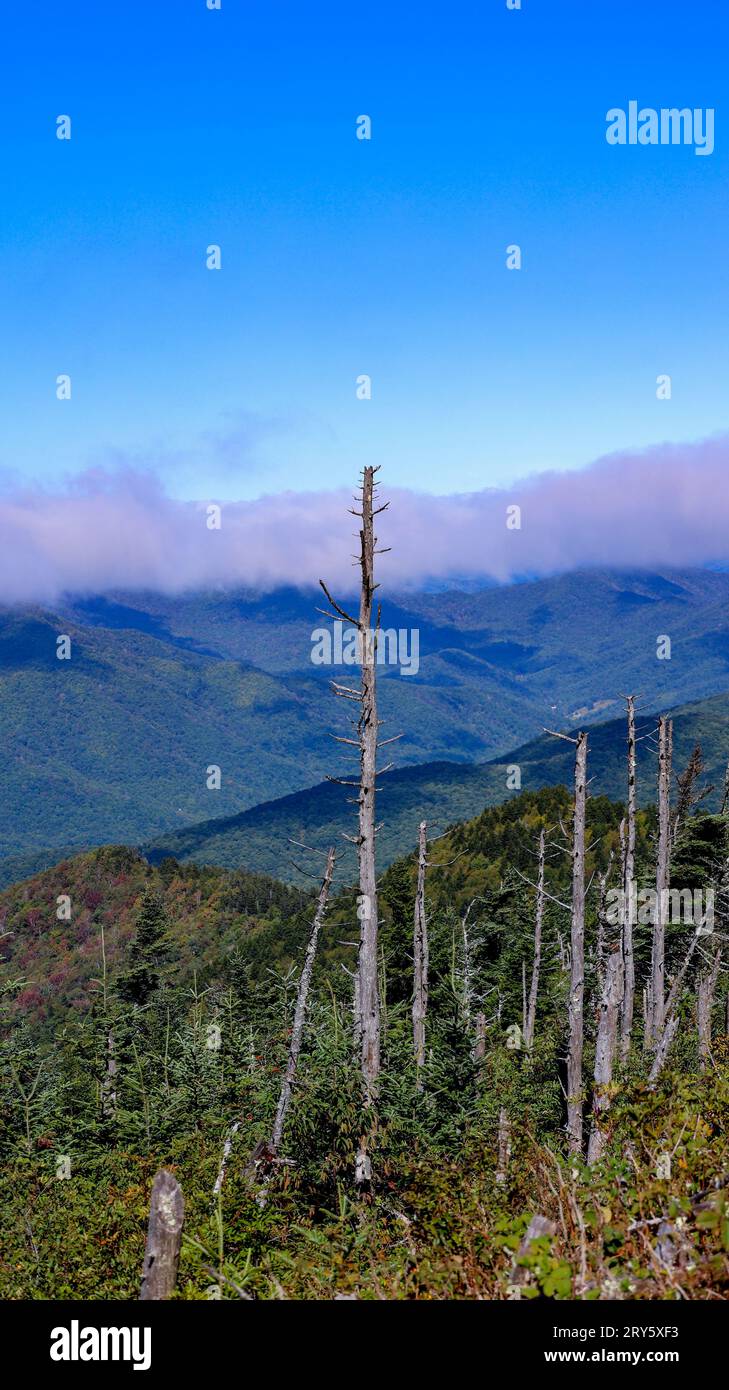 Mitchell ranges hi-res stock photography and images - Alamy