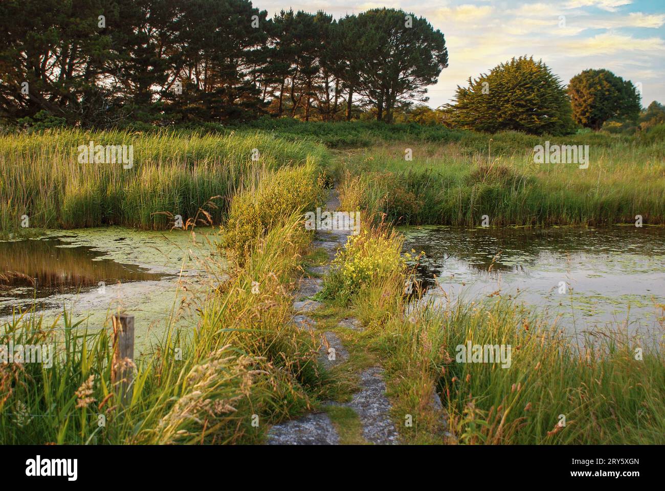 Breton landscape behind the sea Stock Photo - Alamy