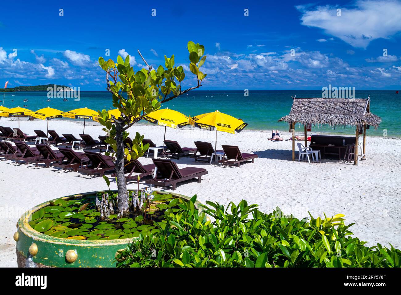 Sun loungers, umbrellas, bamboo beach bar hut and restaurant on Chaweng ...