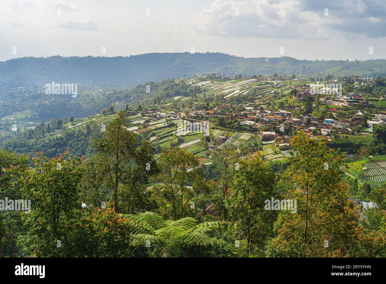 Indonesian countryside near Gunung Lawu, Java Stock Photo - Alamy