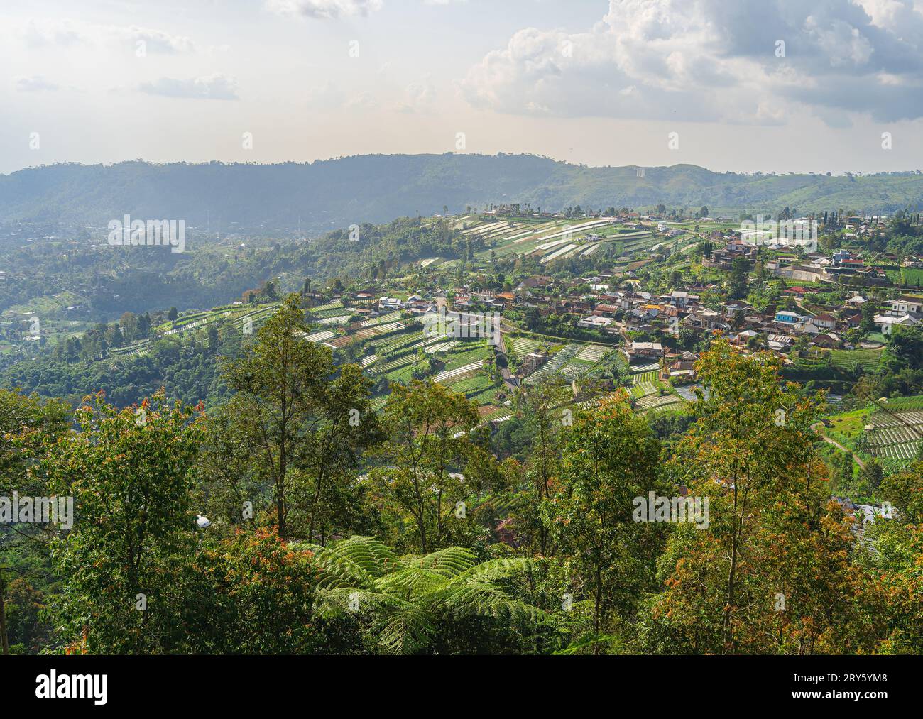 Indonesian countryside near Gunung Lawu, Java Stock Photo - Alamy