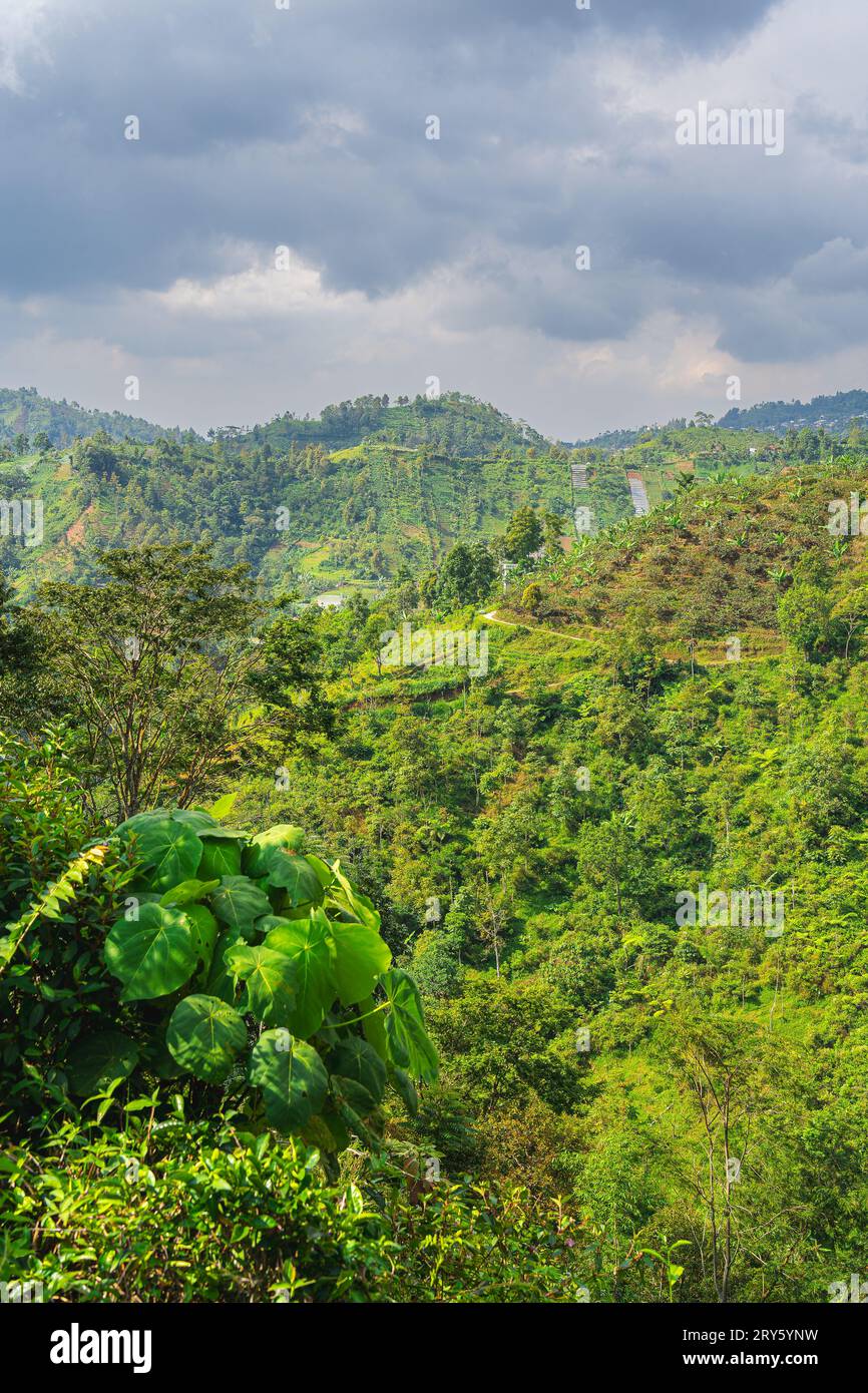 Indonesian countryside near Gunung Lawu, Java Stock Photo - Alamy