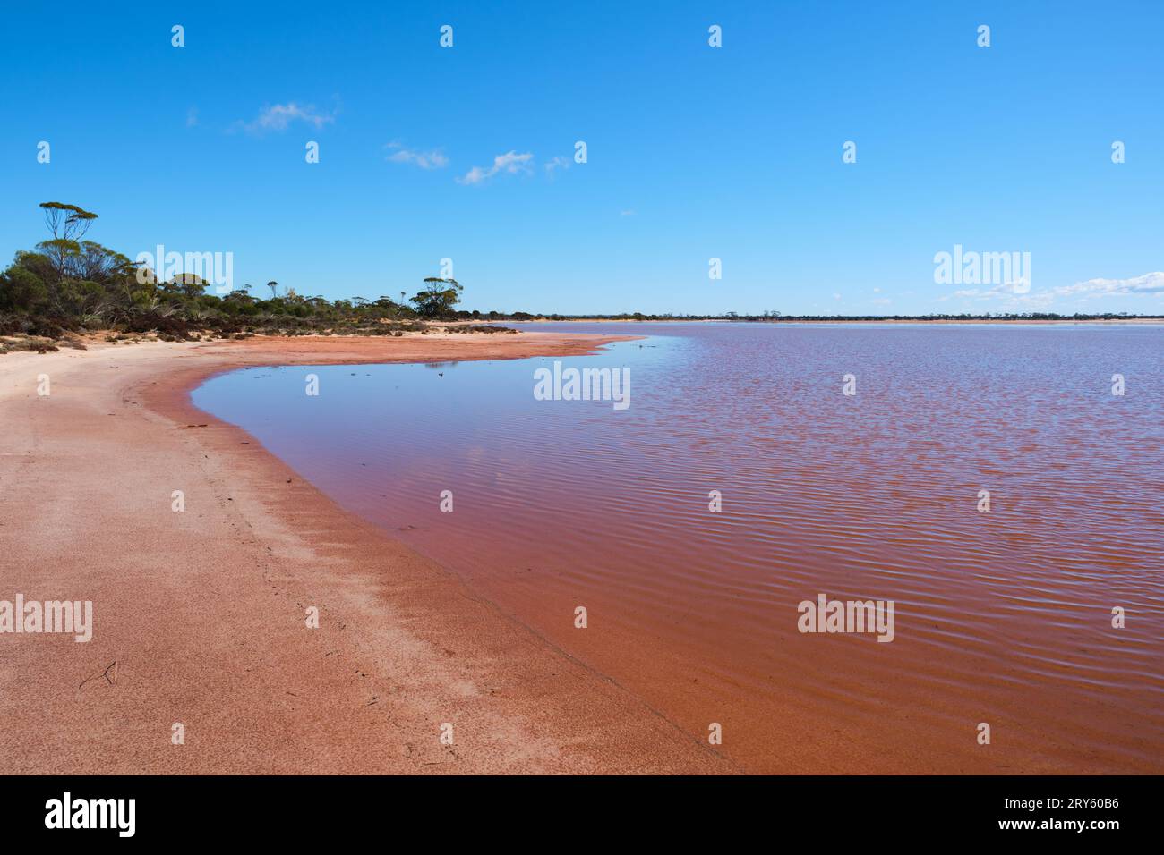 Lake campion nature reserve hi-res stock photography and images - Alamy