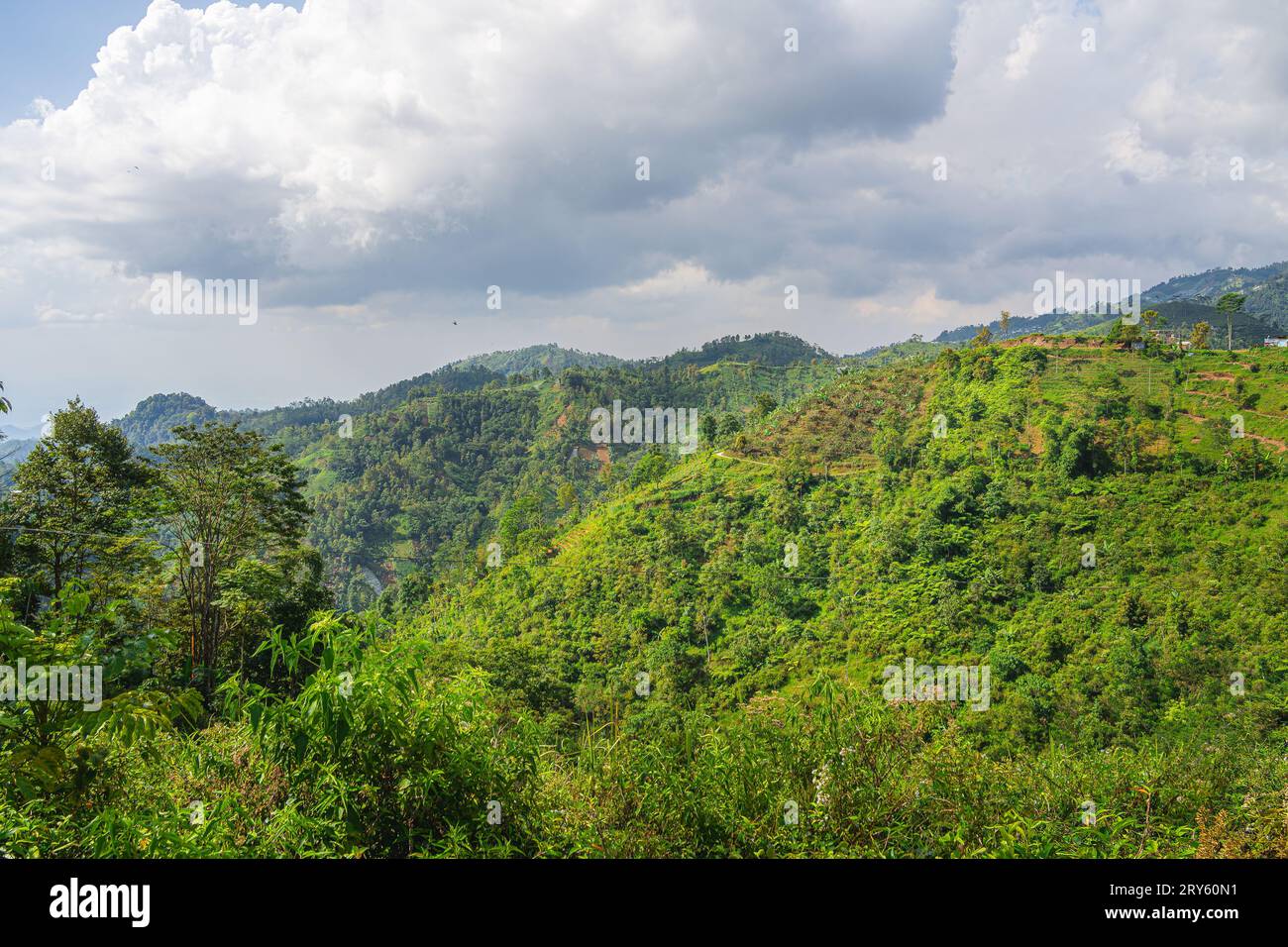 Indonesian countryside near Gunung Lawu, Java Stock Photo - Alamy