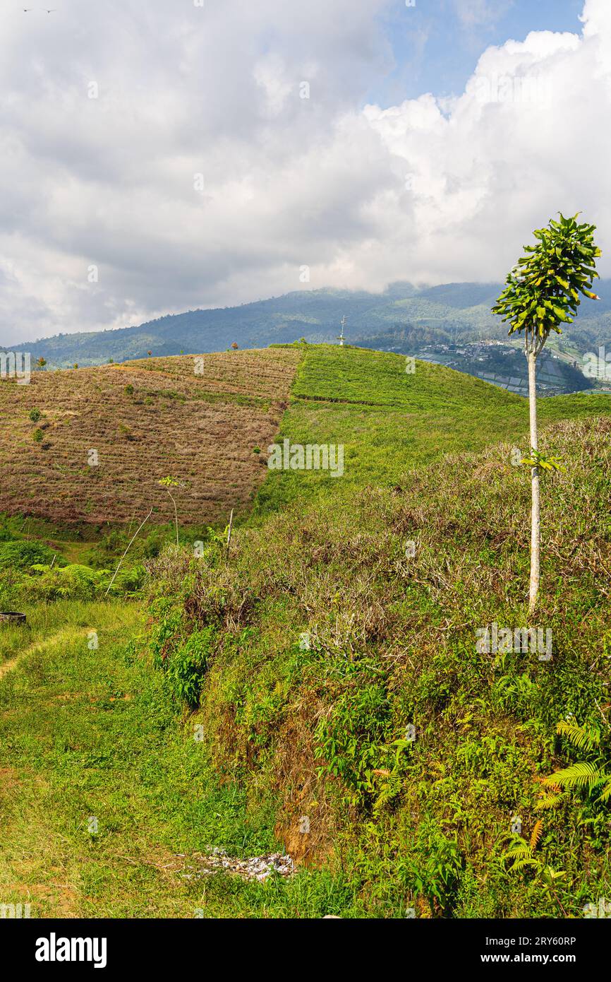 Indonesian countryside near Gunung Lawu, Java Stock Photo - Alamy