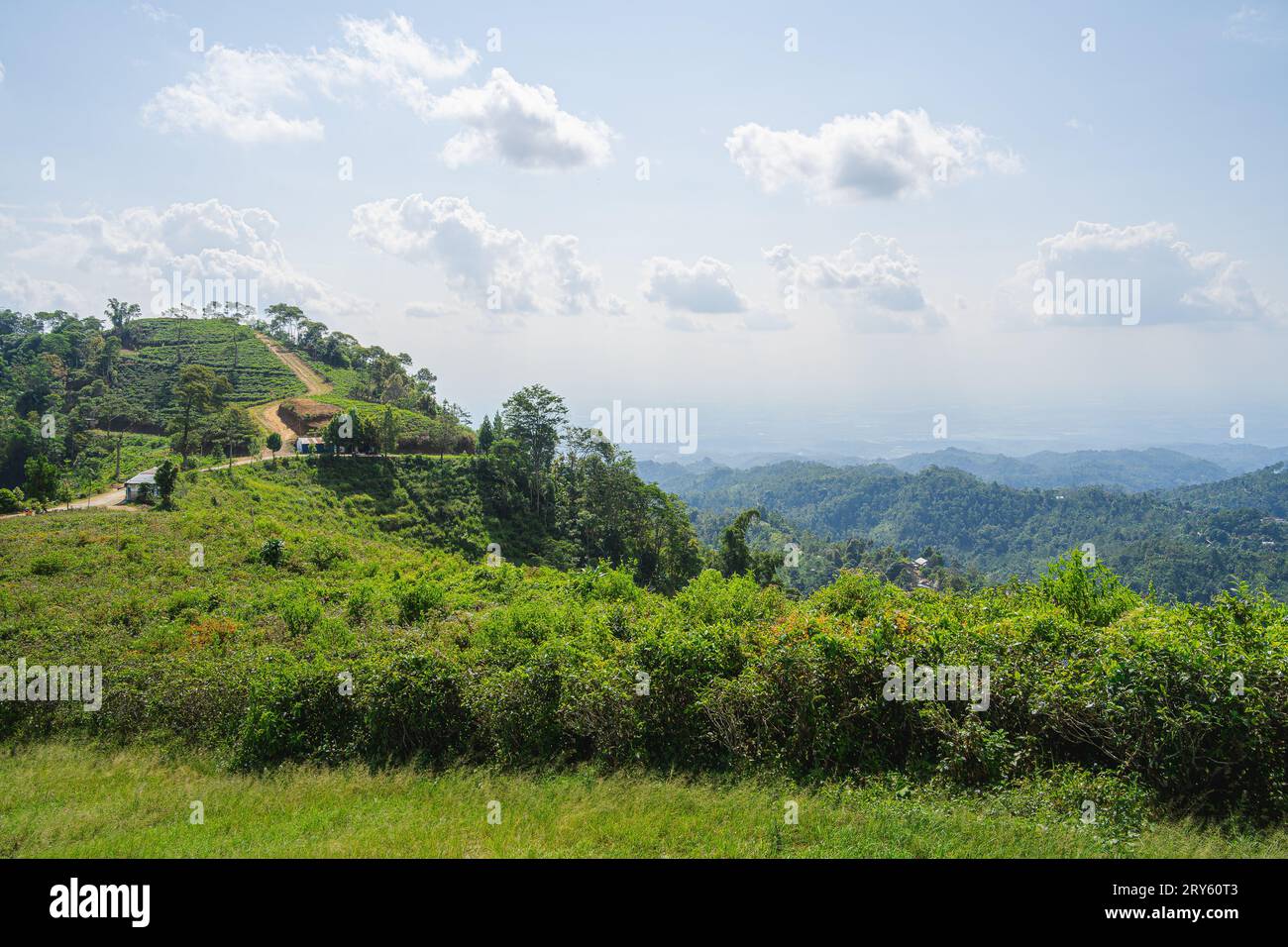 Indonesian countryside near Gunung Lawu, Java Stock Photo - Alamy