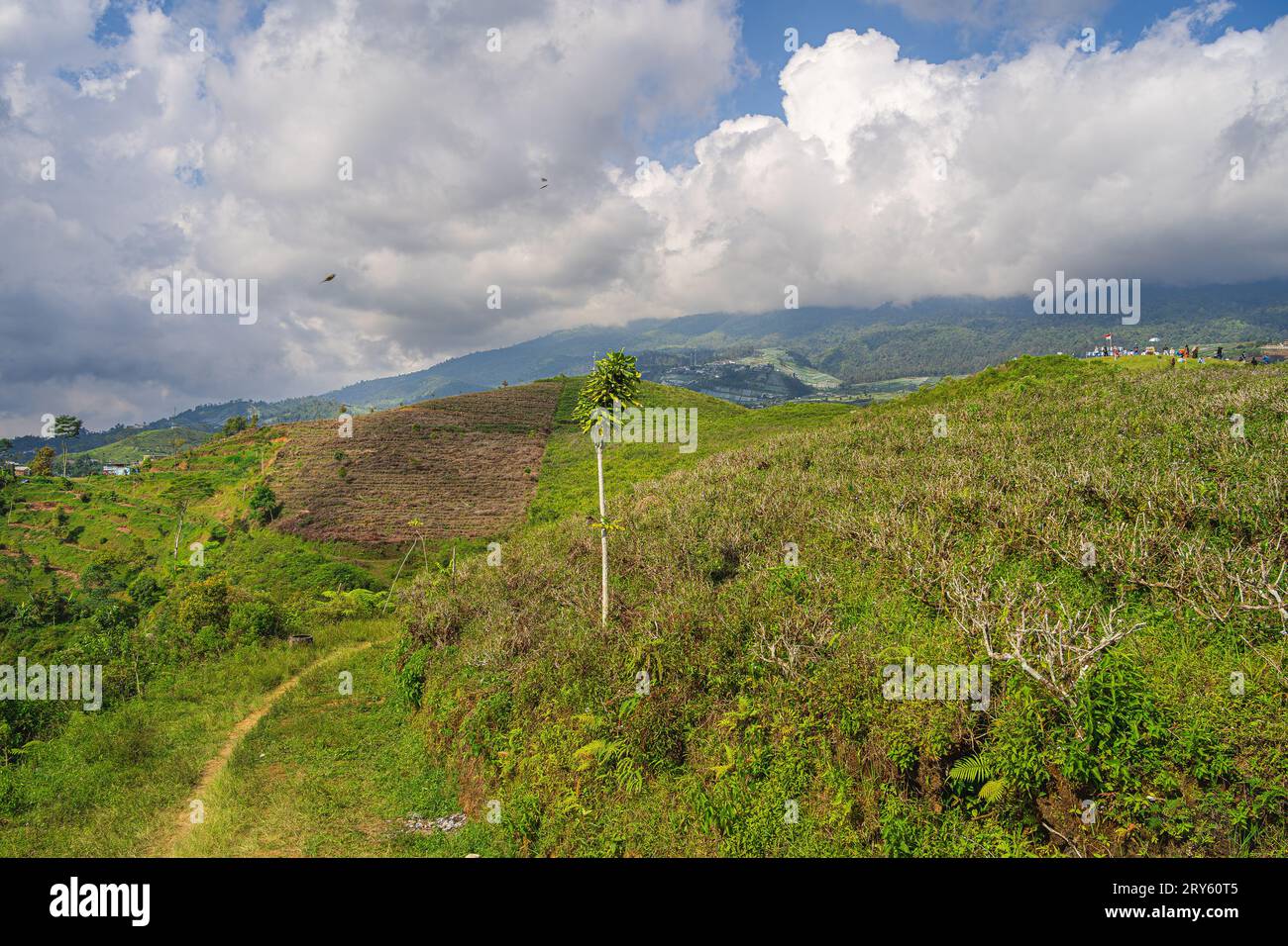 Indonesian countryside near Gunung Lawu, Java Stock Photo - Alamy
