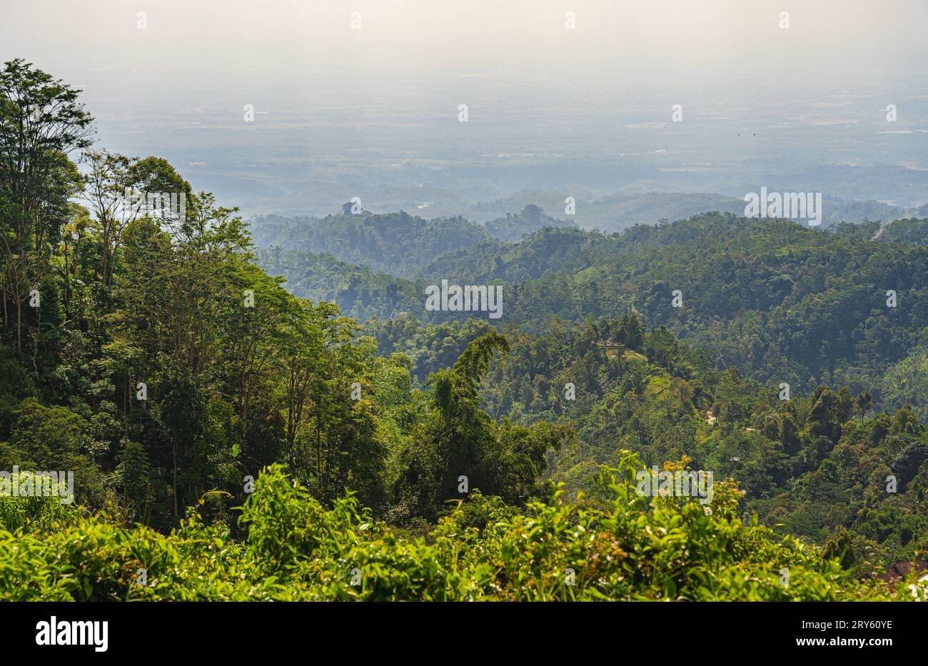 Indonesian countryside near Gunung Lawu, Java Stock Photo - Alamy