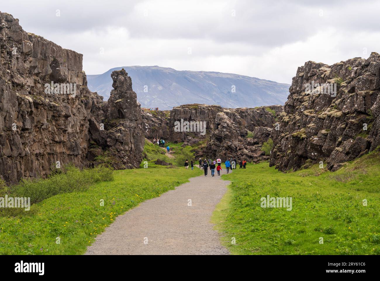 The Lögberg Fault at Thingvellir National Park in Iceland During a ...