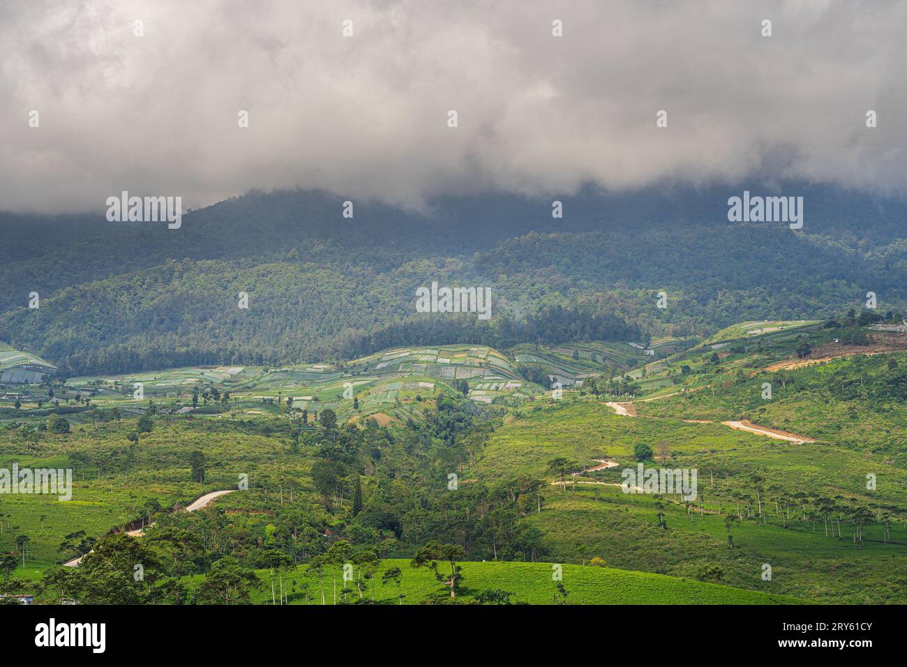 Indonesian countryside near Gunung Lawu, Java Stock Photo - Alamy