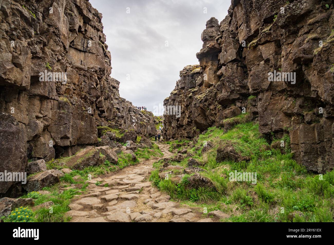 The Lögberg Fault at Thingvellir National Park in Iceland During a ...