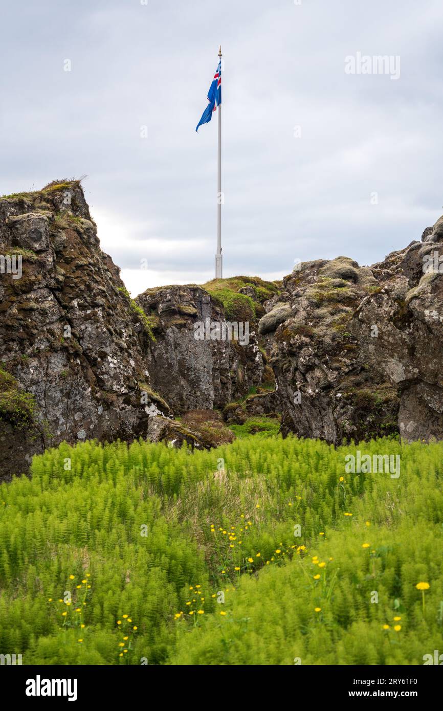 The Lögberg Fault at Thingvellir National Park in Iceland During a ...