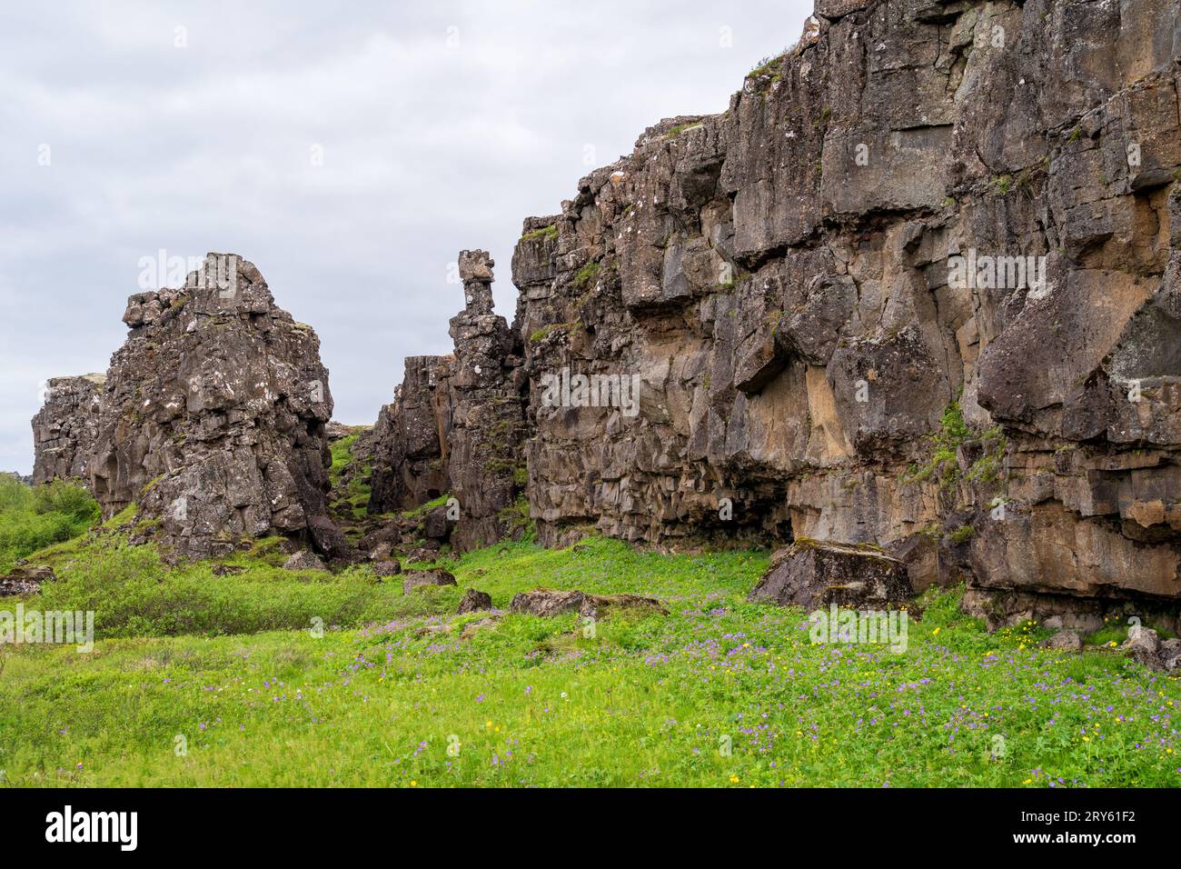 The Lögberg Fault at Thingvellir National Park in Iceland During a ...