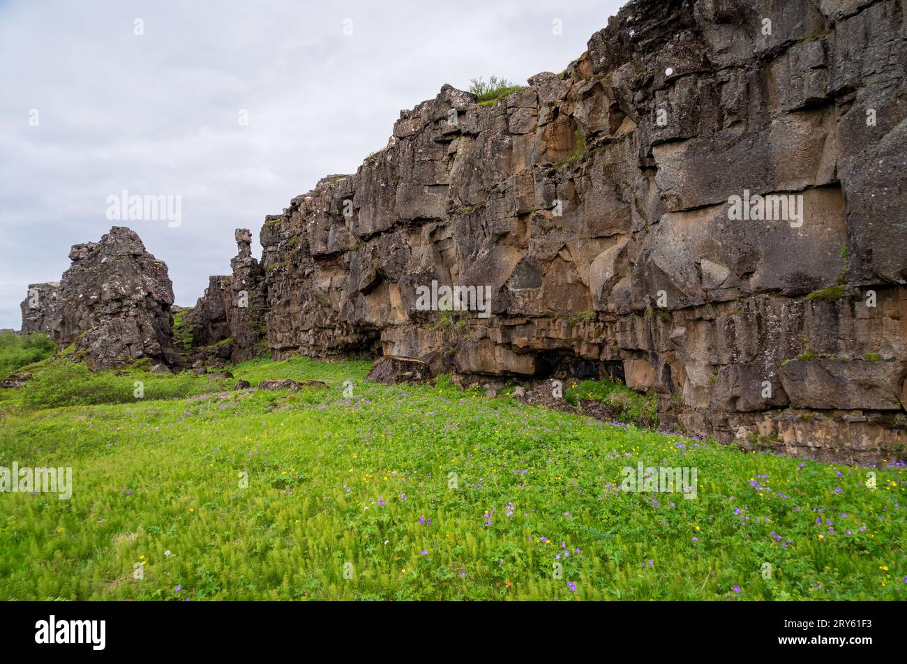 The Lögberg Fault at Thingvellir National Park in Iceland During a ...