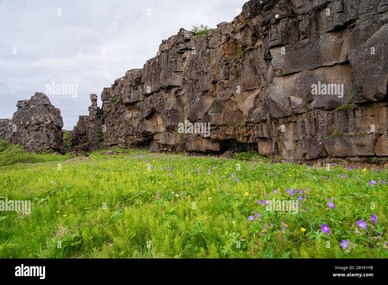The Lögberg Fault at Thingvellir National Park in Iceland During a ...