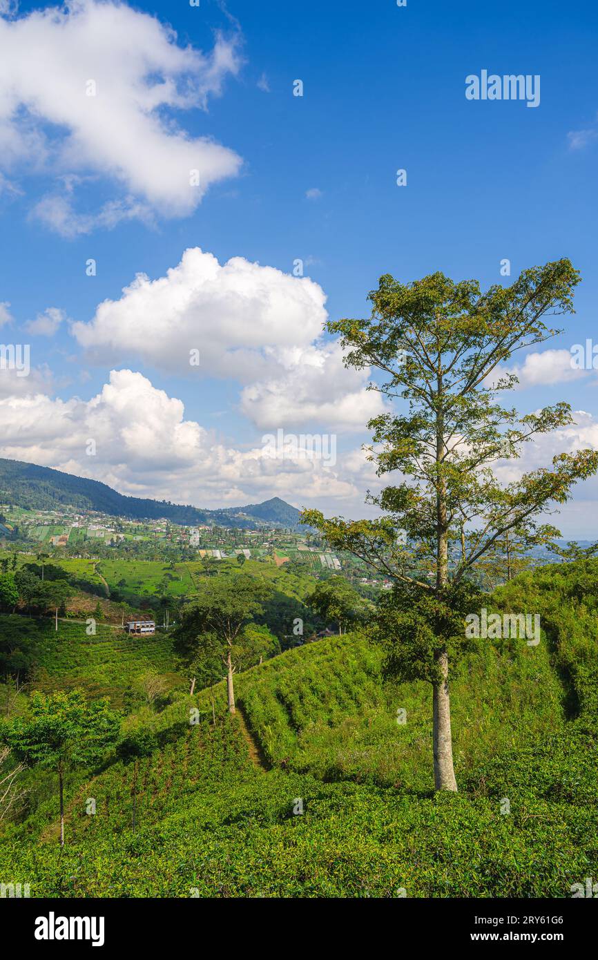 Indonesian countryside near Gunung Lawu, Java Stock Photo - Alamy