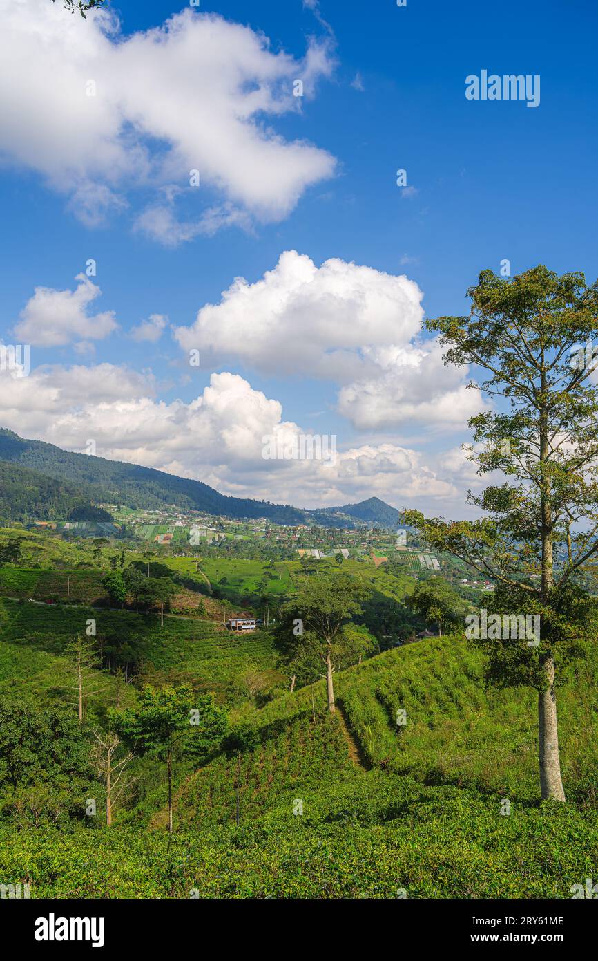 Indonesian countryside near Gunung Lawu, Java Stock Photo - Alamy