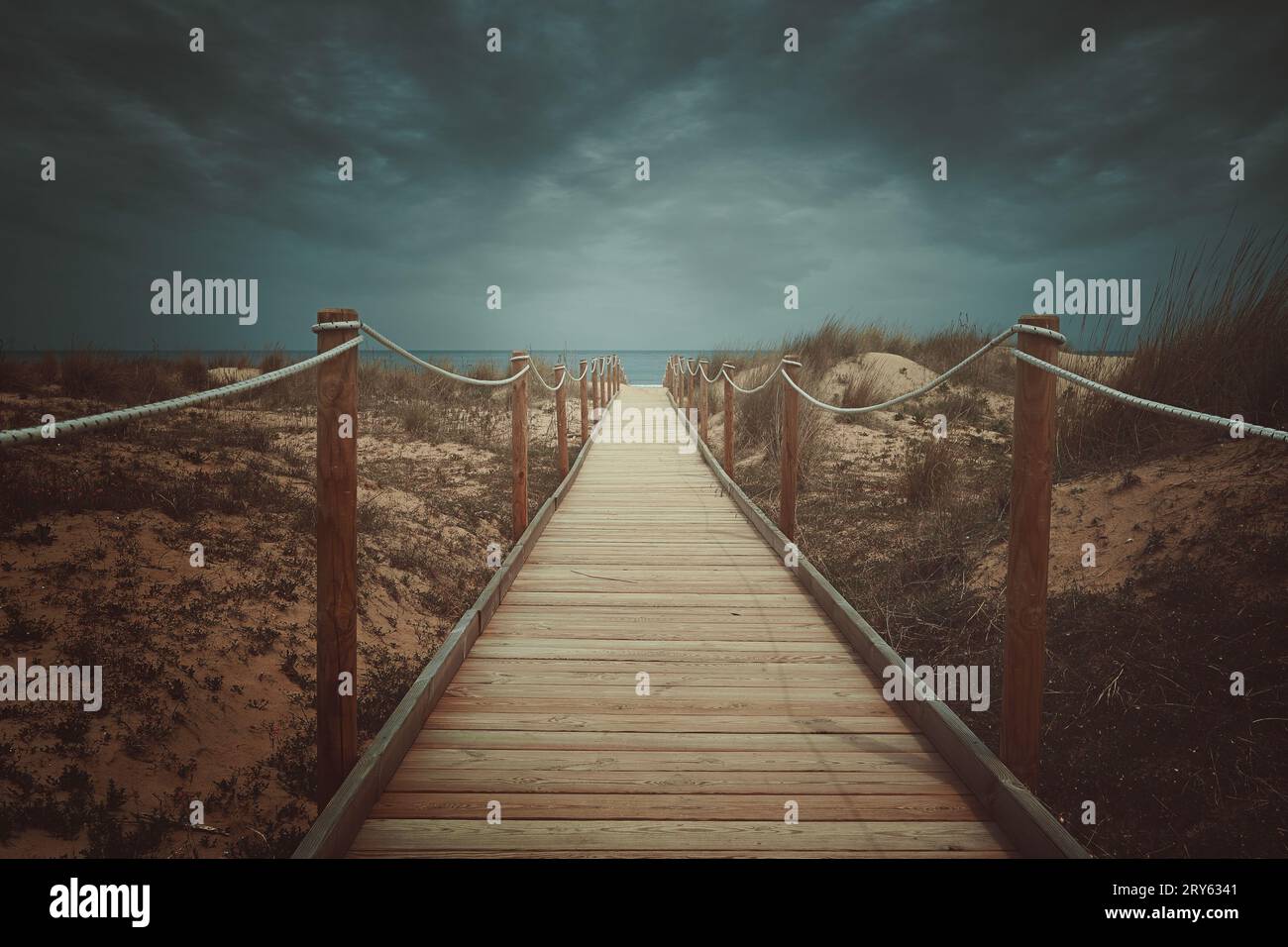 Pathway horizon hi-res stock photography and images - Alamy