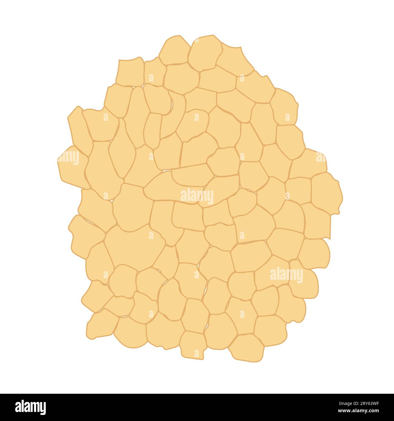 Medical background pattern. Fat tissue with yellow cells Stock Vector ...